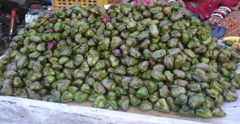 Singhara (Water caltrop) Information, Benefits, Uses and More - bimbima